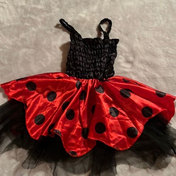 Costumes | Lady Bug Costume24 Months Has Spot To Velcro Wings On Back ...